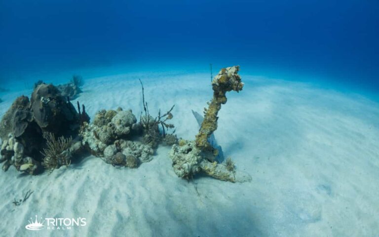 St Croix Dive Sites USVI - 2025 Scuba diving maps, dive site guides