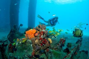 St Croix Dive Sites USVI - 2025 Scuba diving maps, dive site guides