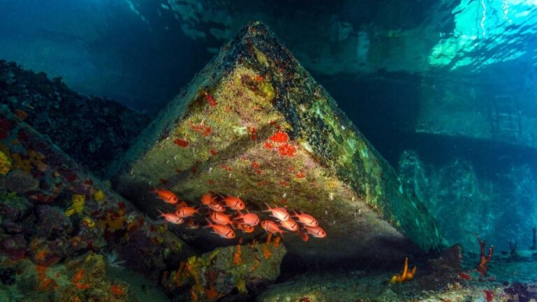 St Croix Dive Sites USVI - 2025 Scuba diving maps, dive site guides