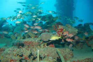 St Croix Dive Sites USVI - 2025 Scuba diving maps, dive site guides