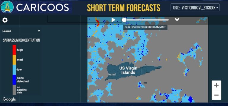 Sargassum St Croix 2026 forecast map